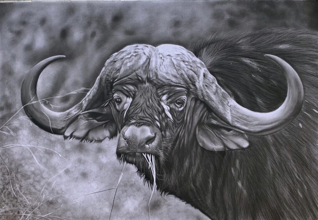 Wild Art - Affordable Africa Safaris with a personal touch